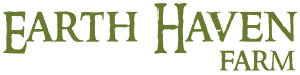 Summer Solstice, Native American Traditions — Earth Haven Farm