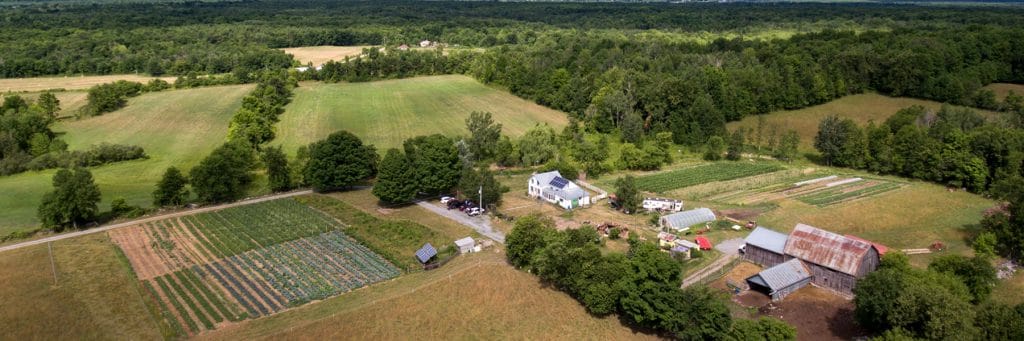 Home — Earth Haven Farm