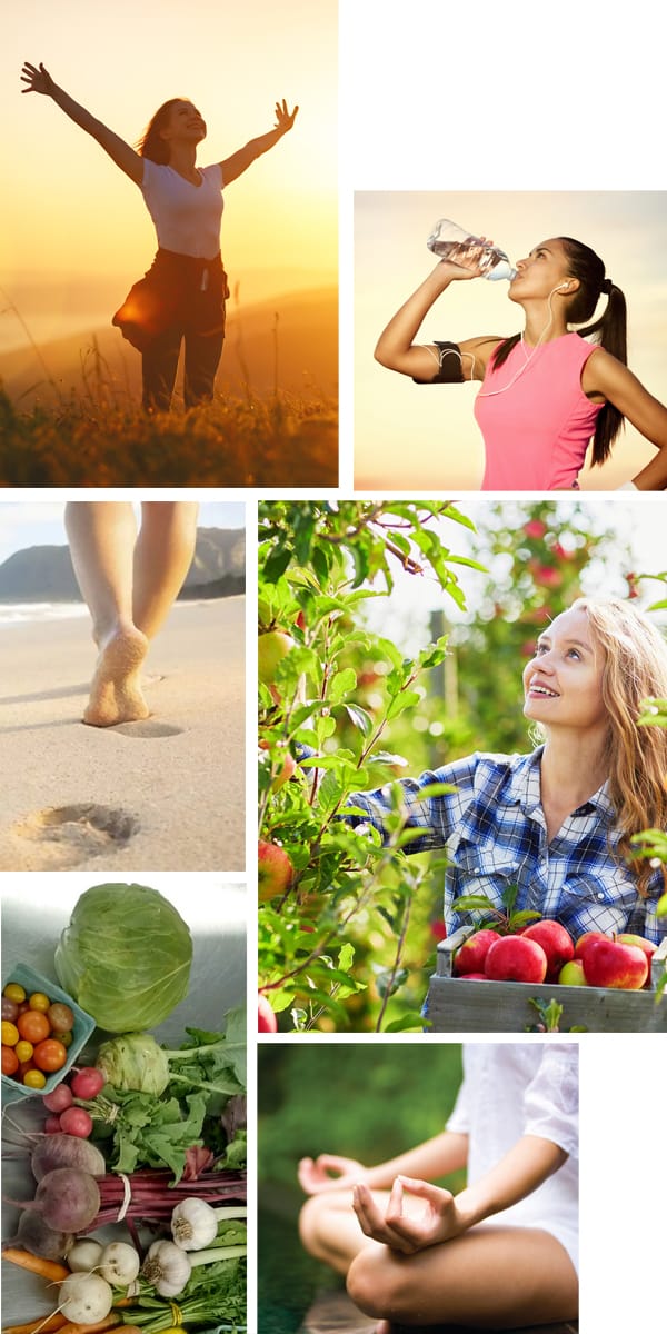 What is Terrain? — Earth Haven Farm