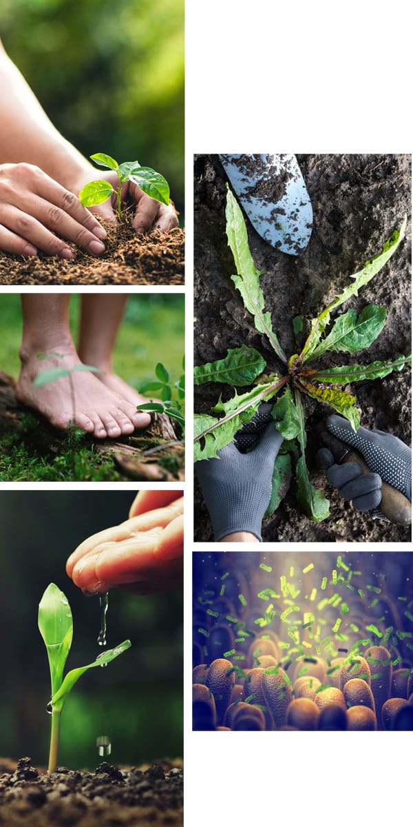 What is Terrain? — Earth Haven Farm