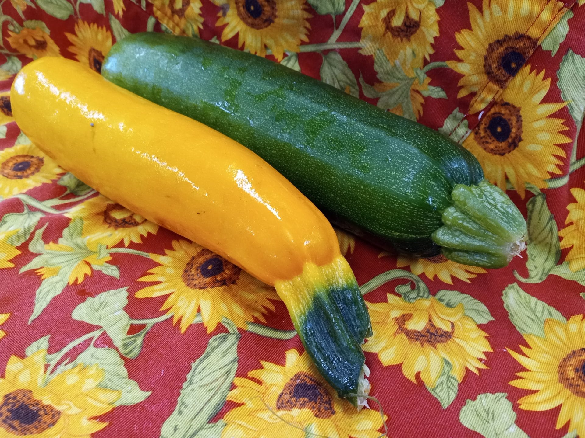 Zucchini — Earth Haven Farm